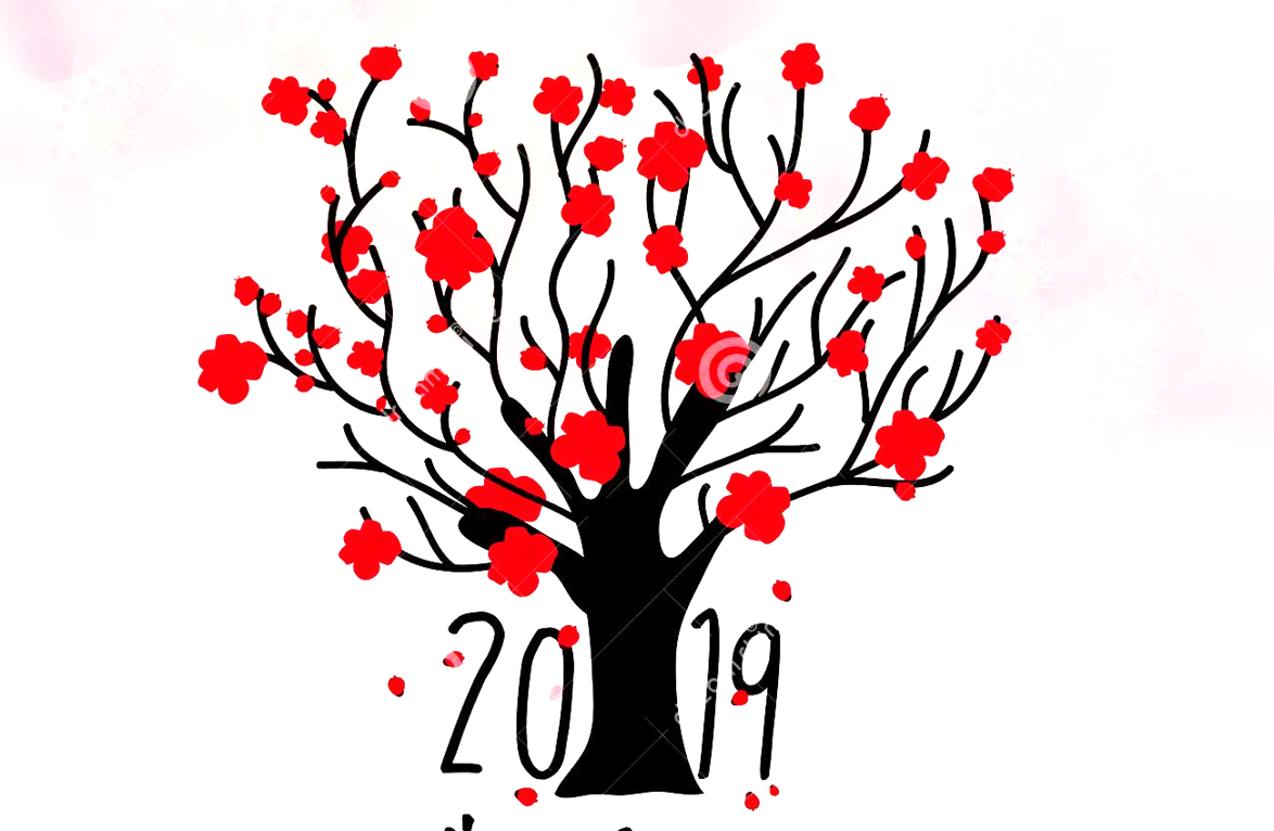 Bom Ano Novo ⋆ Consumare